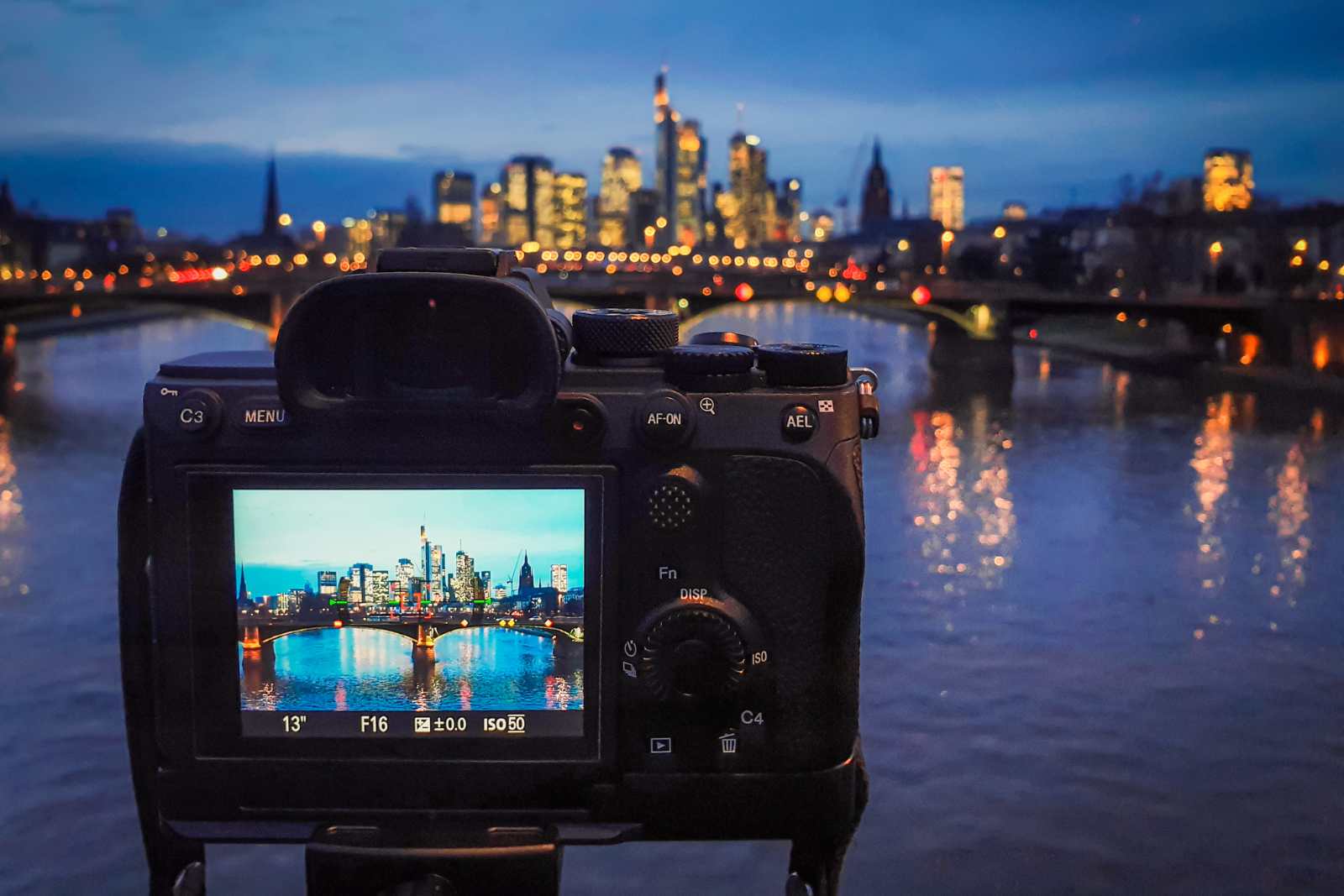 Photography Services - Merry Bees